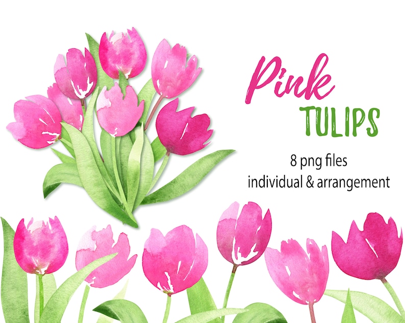 Pink Tulips Watercolor Clipart. Bouquet of Tulips. Flowers - Etsy
