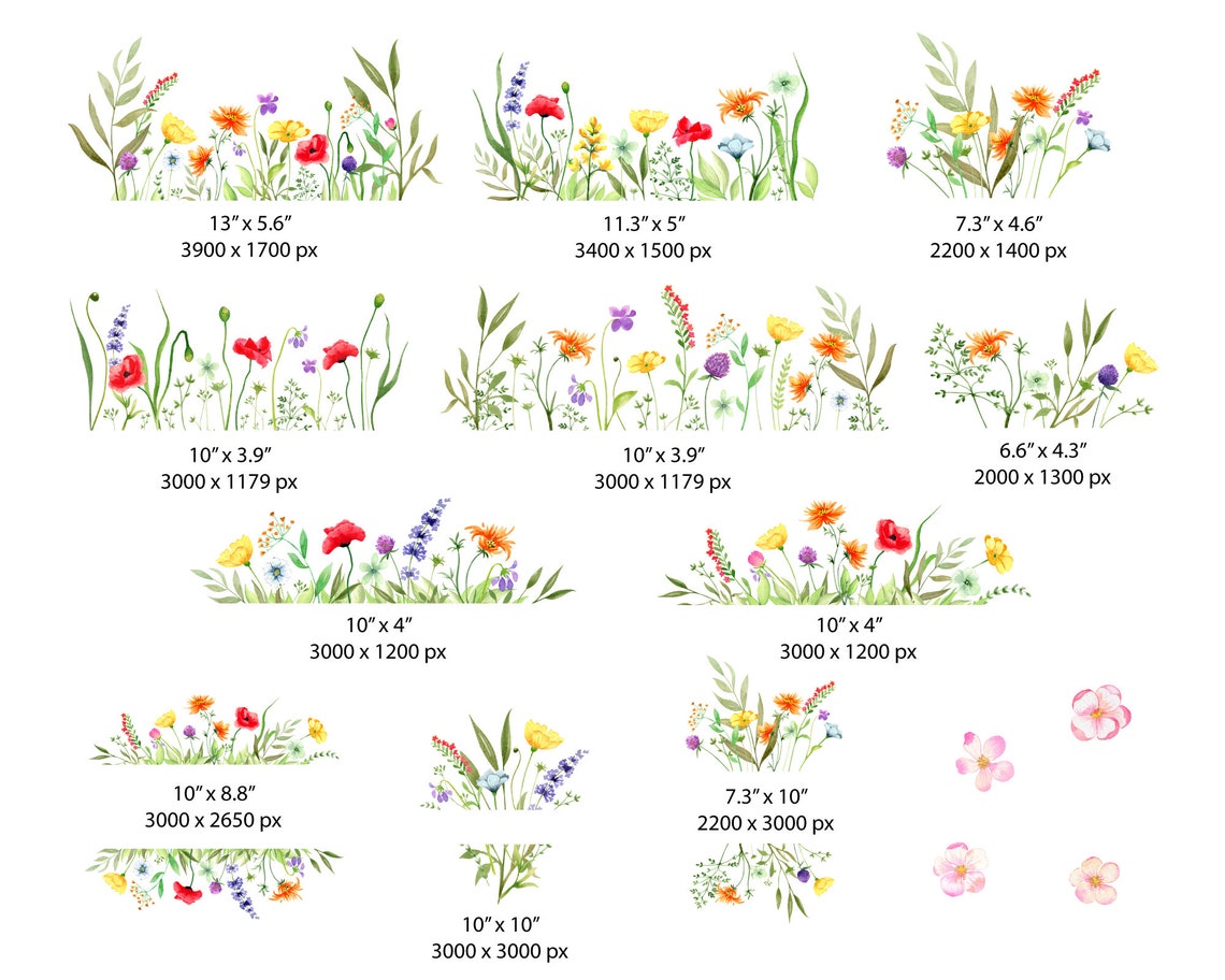 Watercolor Wildflower Borders. Field Floral Frames. Meadow - Etsy Canada