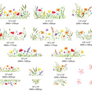 Watercolor Wildflower Borders. Field Floral Frames. Meadow Floral ...