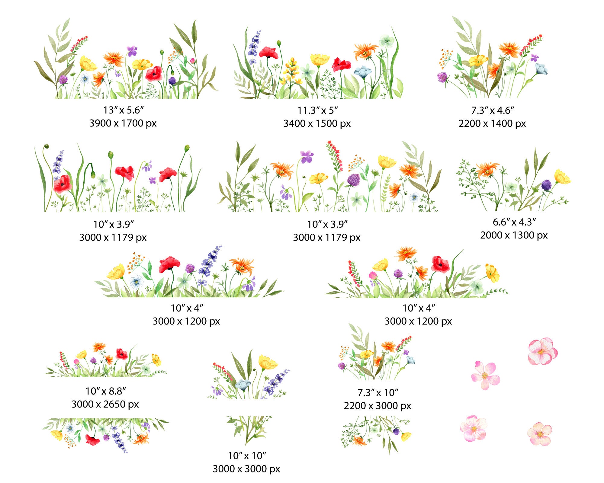 Watercolor Wildflower Borders. Field Floral Frames. Meadow - Etsy