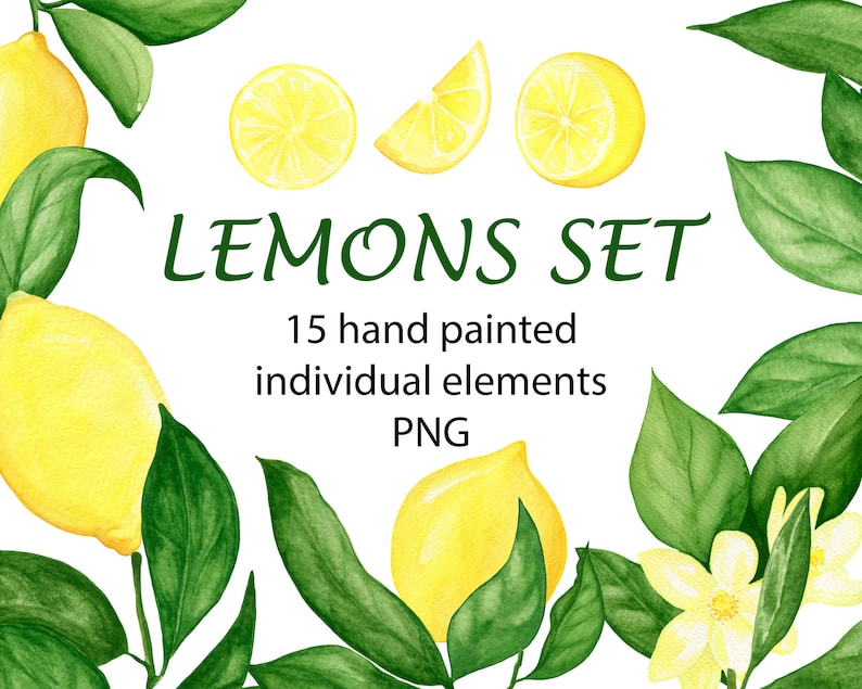 Watercolor Lemon Clip Art. Watercolor Fruit Citrus Painting - Etsy