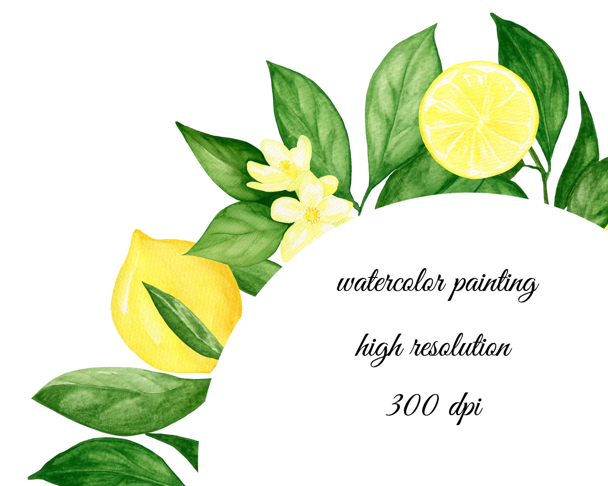 Lemon Wreaths Watercolor Clipart. Lemon Frame PNG. Bright - Etsy