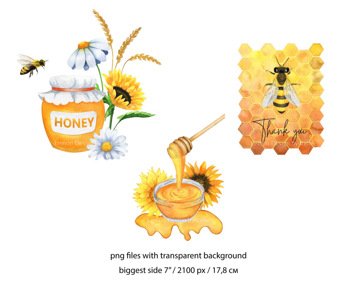 Honey Bee Watercolor Clipart Honeybee Png Honeycomb - Etsy