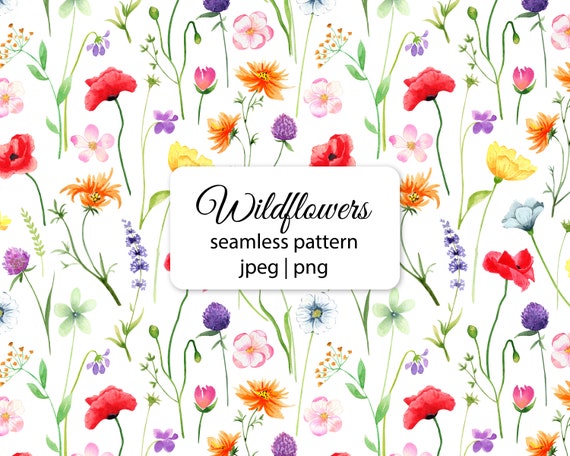 Wildflowers Seamless Pattern. Bright Meadow Flowers. - Etsy
