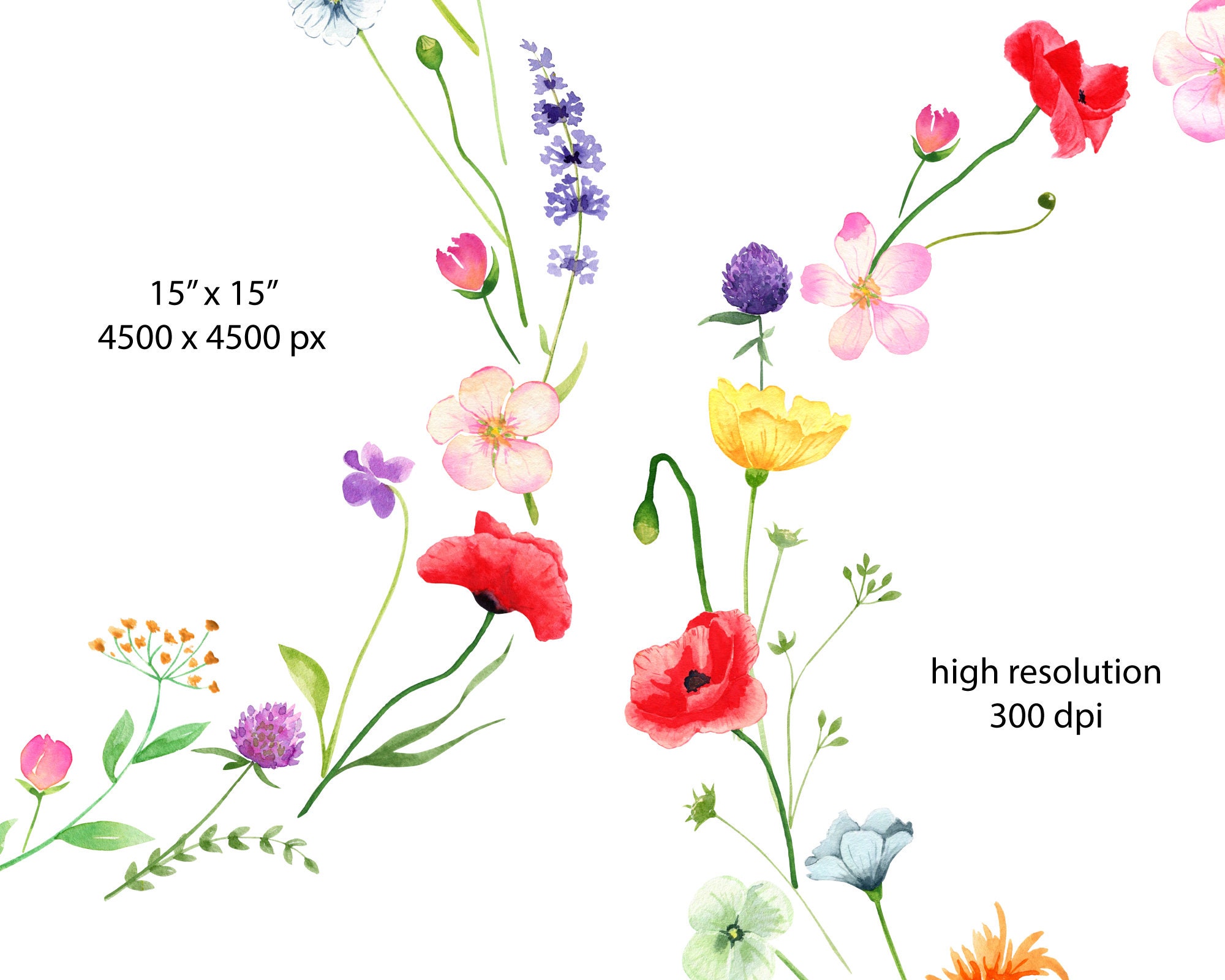 Watercolor Wildflowers Wreath Clipart. Botanical Floral - Etsy