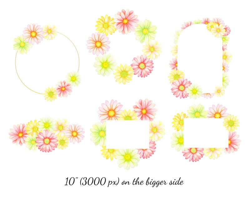 Gerbera Daisy Wreaths Frames Arrangements. Separate Flowers. | Etsy