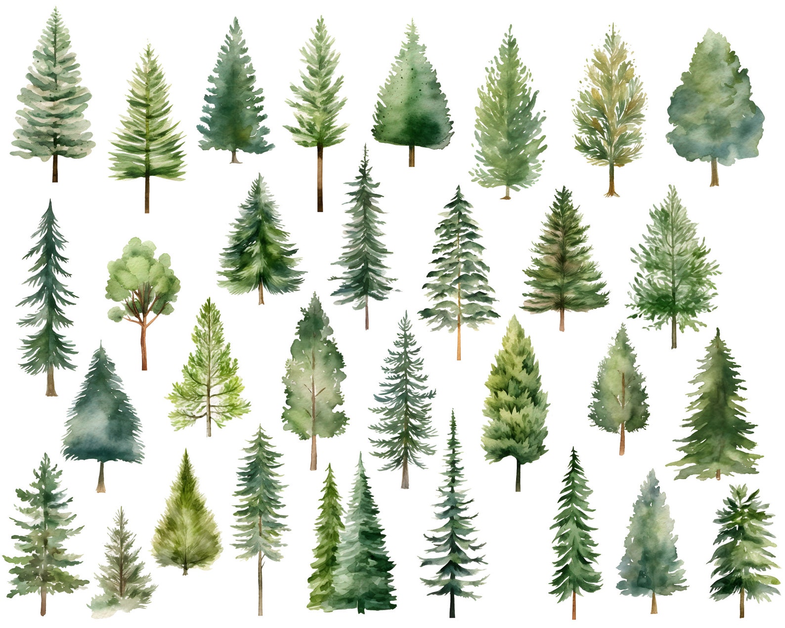 Watercolor Forest Trees Clipart, Pine Trees PNG, Pine Forest, Woodland ...