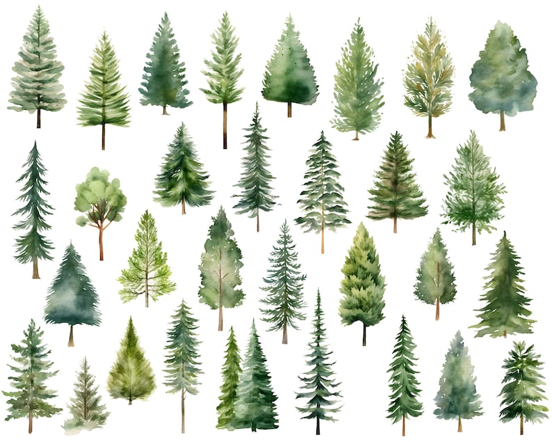Watercolor Forest Trees Clipart, Pine Trees PNG, Pine Forest, Woodland ...