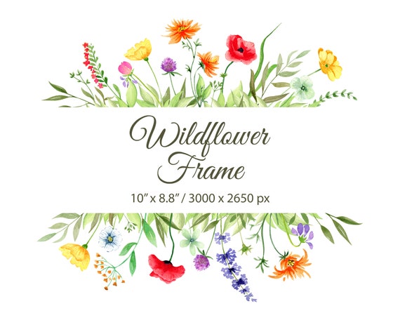 Aquarell Wildblumen Rahmen Clipart. Botanischer Blumenrahmen. | Etsy