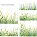Meadow Seamless Borders, Wildflowers and Grass Clipart, Field Endless ...