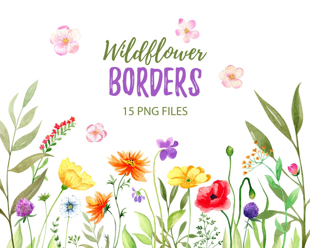 Watercolor Wildflower Borders. Field Floral Frames. Meadow Floral ...