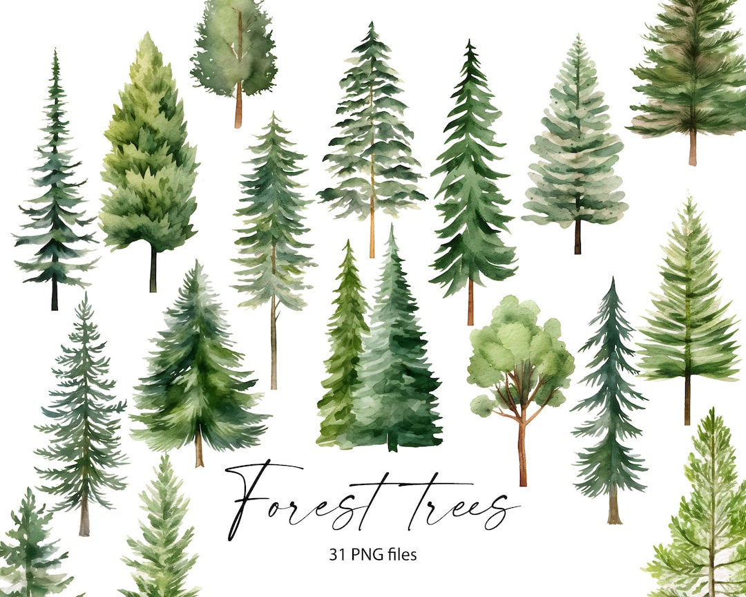 Watercolor Forest Trees Clipart, Pine Trees PNG, Pine Forest, Woodland ...