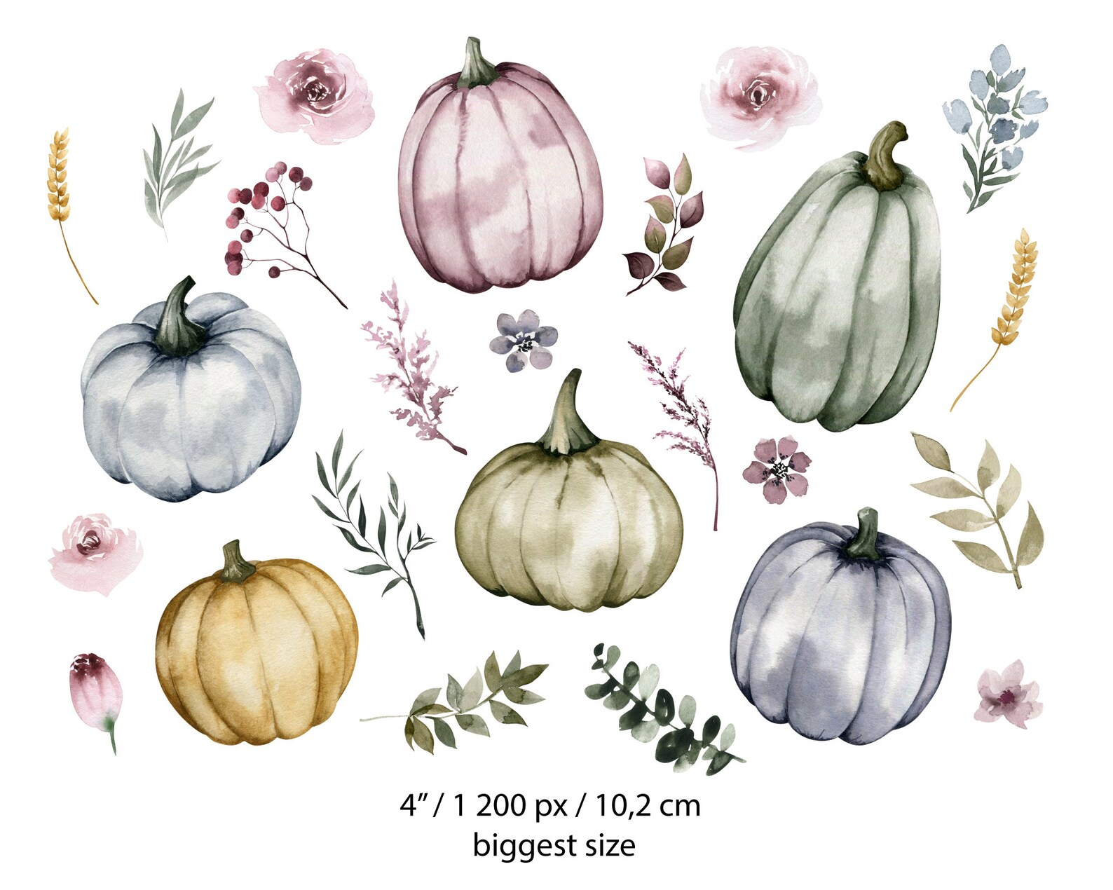 Colorful Pumpkin Watercolor Clipart Thanksgiving Clipart - Etsy