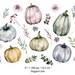 Colorful Pumpkin Watercolor Clipart Thanksgiving Clipart - Etsy