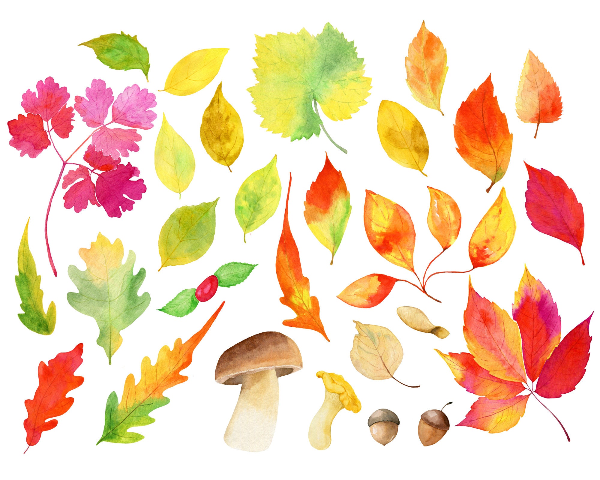 Autumn Leaves Watercolor Clipart Fall Leaves Wreaths - Etsy