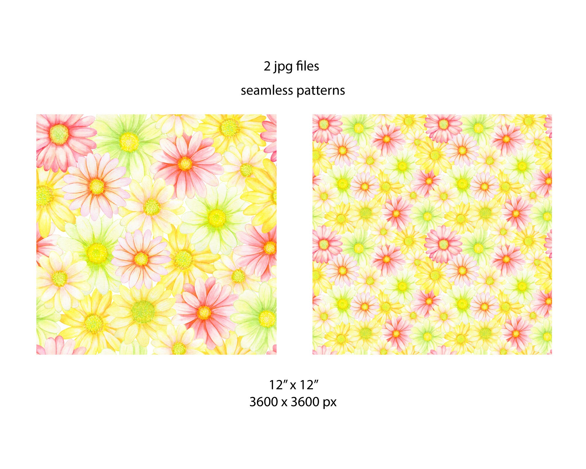 Gerbera Daisy Digital Paper. Seamless Pattern. Watercolor - Etsy