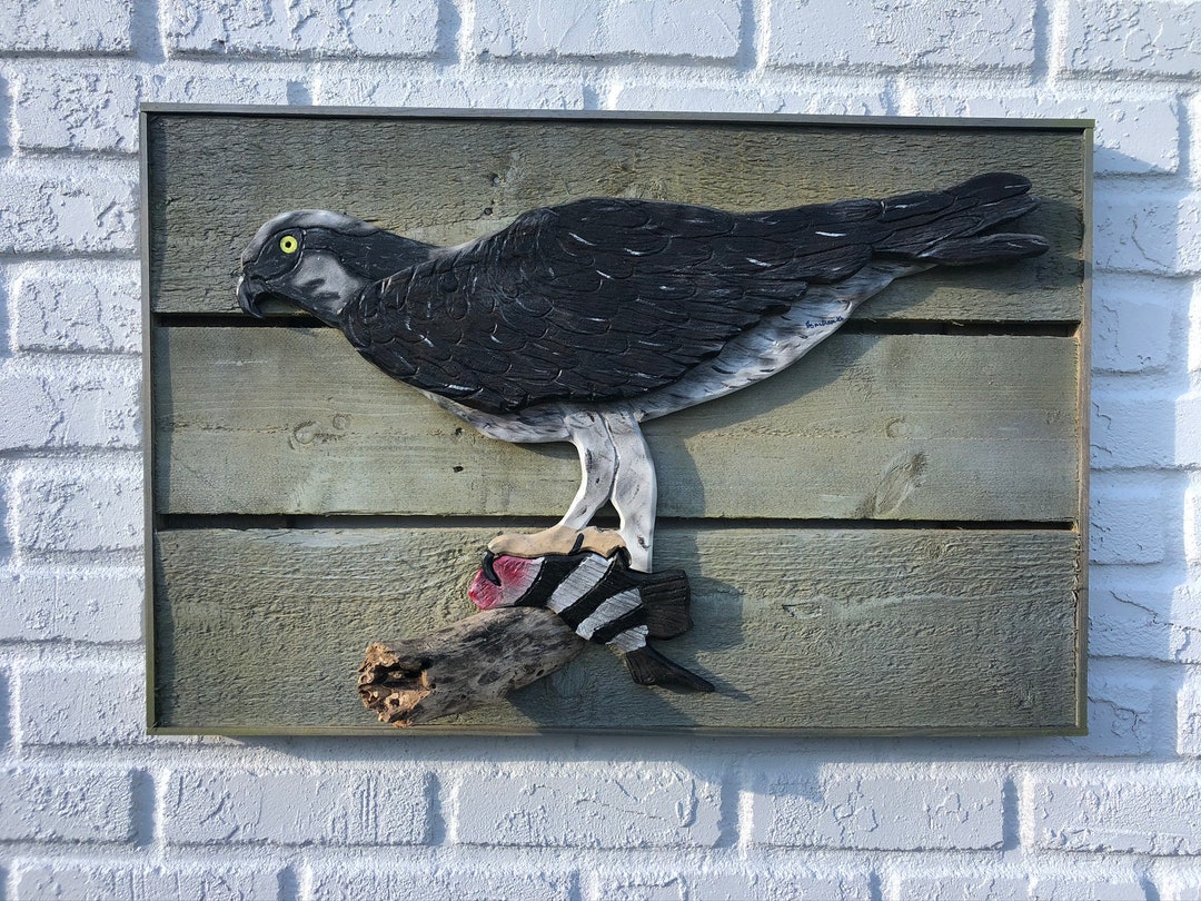 Osprey With Sheepshead on Rough Sawn Oak - Etsy