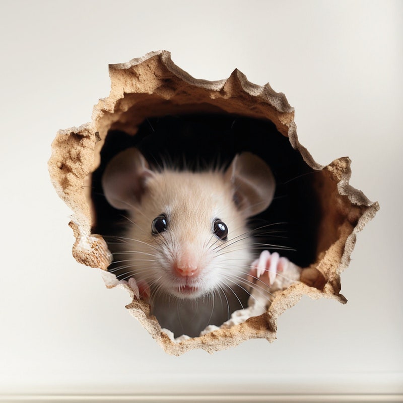 Mouse Hole Wall Decal - Etsy