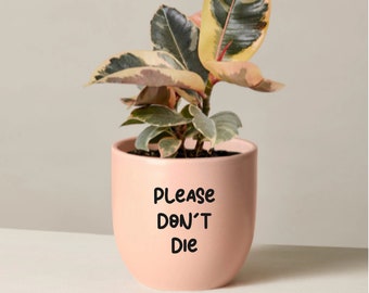 Funny Pot Stickers - Etsy UK