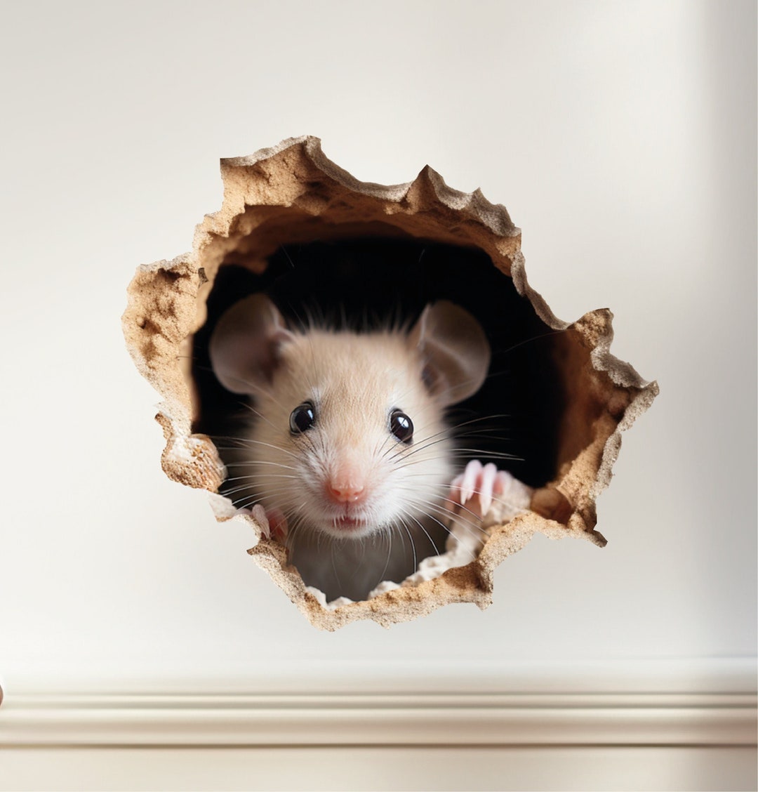 Cute Mouse Hole, Realistic Mouse Hole Sticker, Mouse Peeping Out Hole ...
