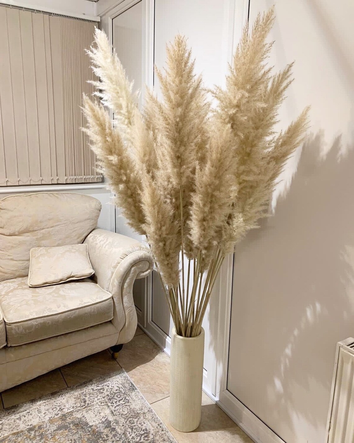 Sale Large Natural Pampas Grass 60-120 140cm Pampass Grass - Etsy