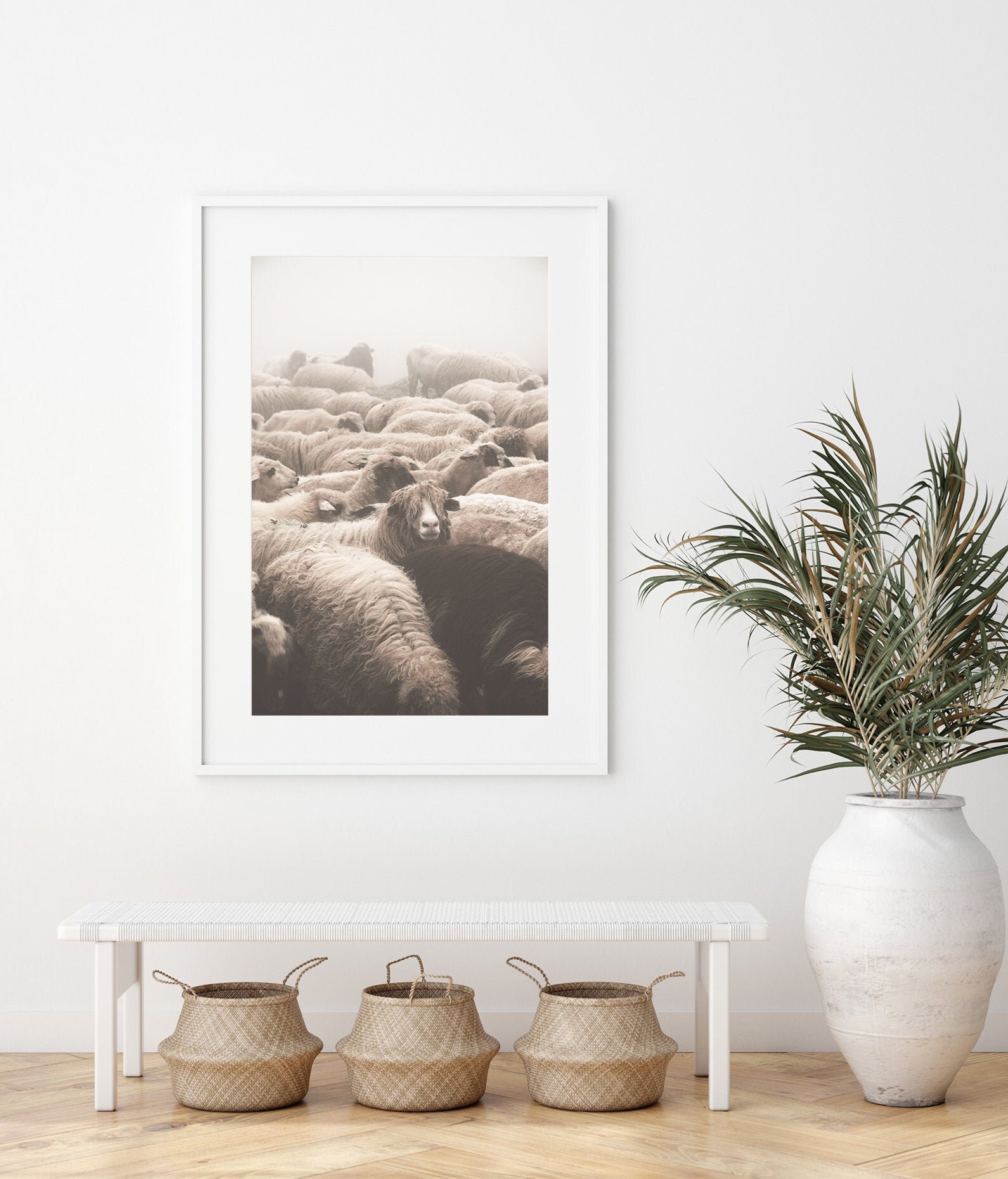 Sheep Wall Art Print Wildlife Photography Animal Photography Sheep ...