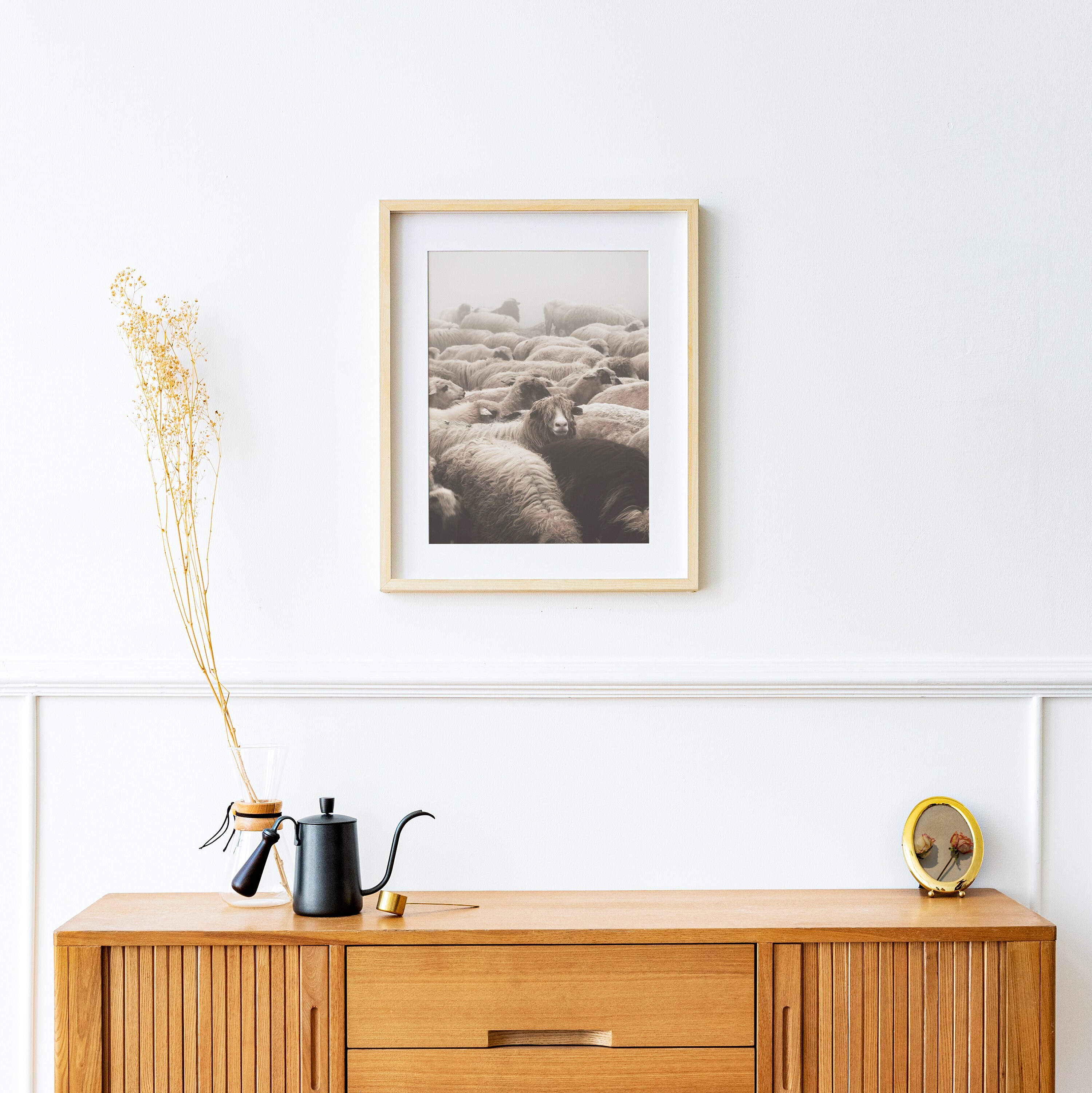 Sheep Wall Art Print Wildlife Photography Animal Photography Sheep ...