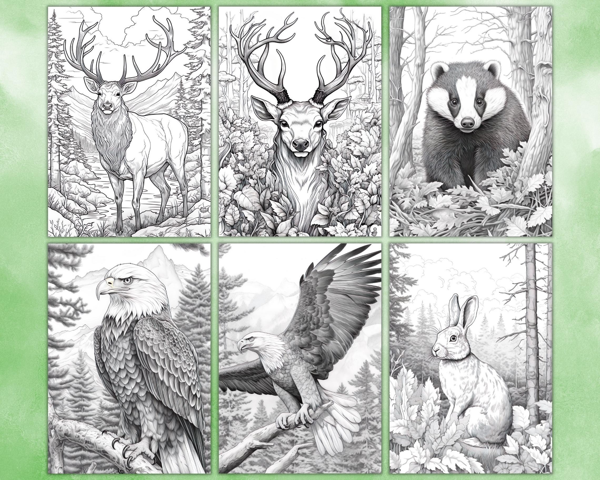 Forest Animals Coloring Pages, Grayscale Coloring Page, Printable ...