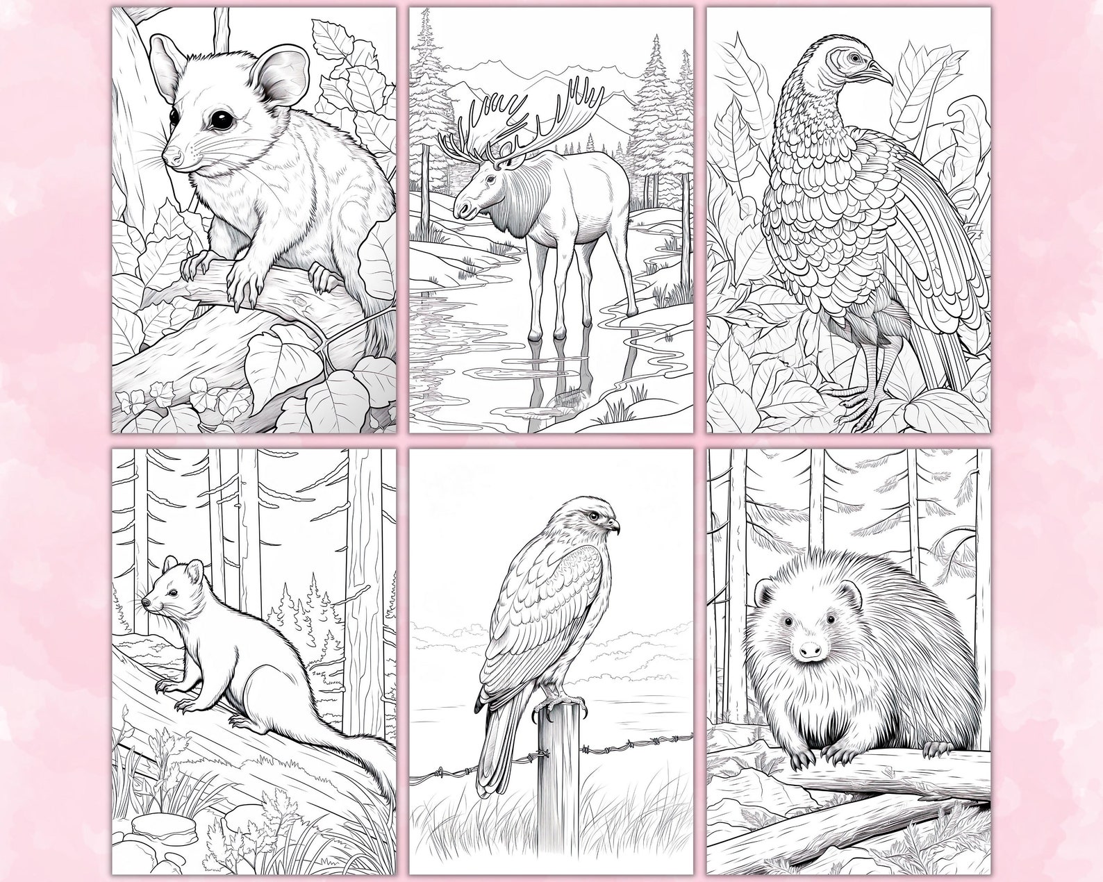 Woodland Animal Coloring Pages, Animal Coloring Book, Grayscale ...