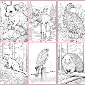 Woodland Animal Coloring Pages, Animal Coloring Book, Grayscale ...