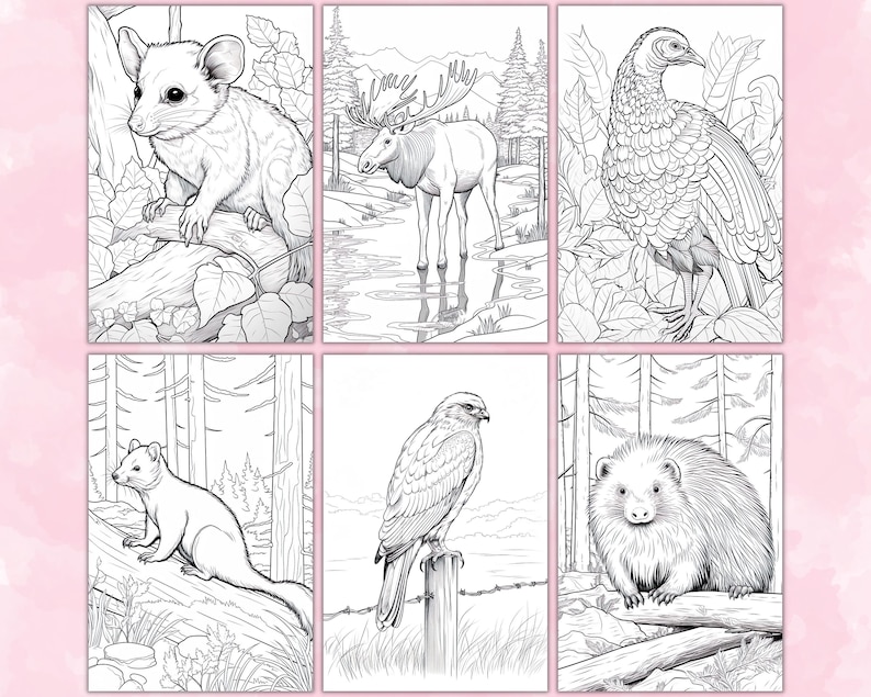 Woodland Animal Coloring Pages, Animal Coloring Book, Grayscale ...