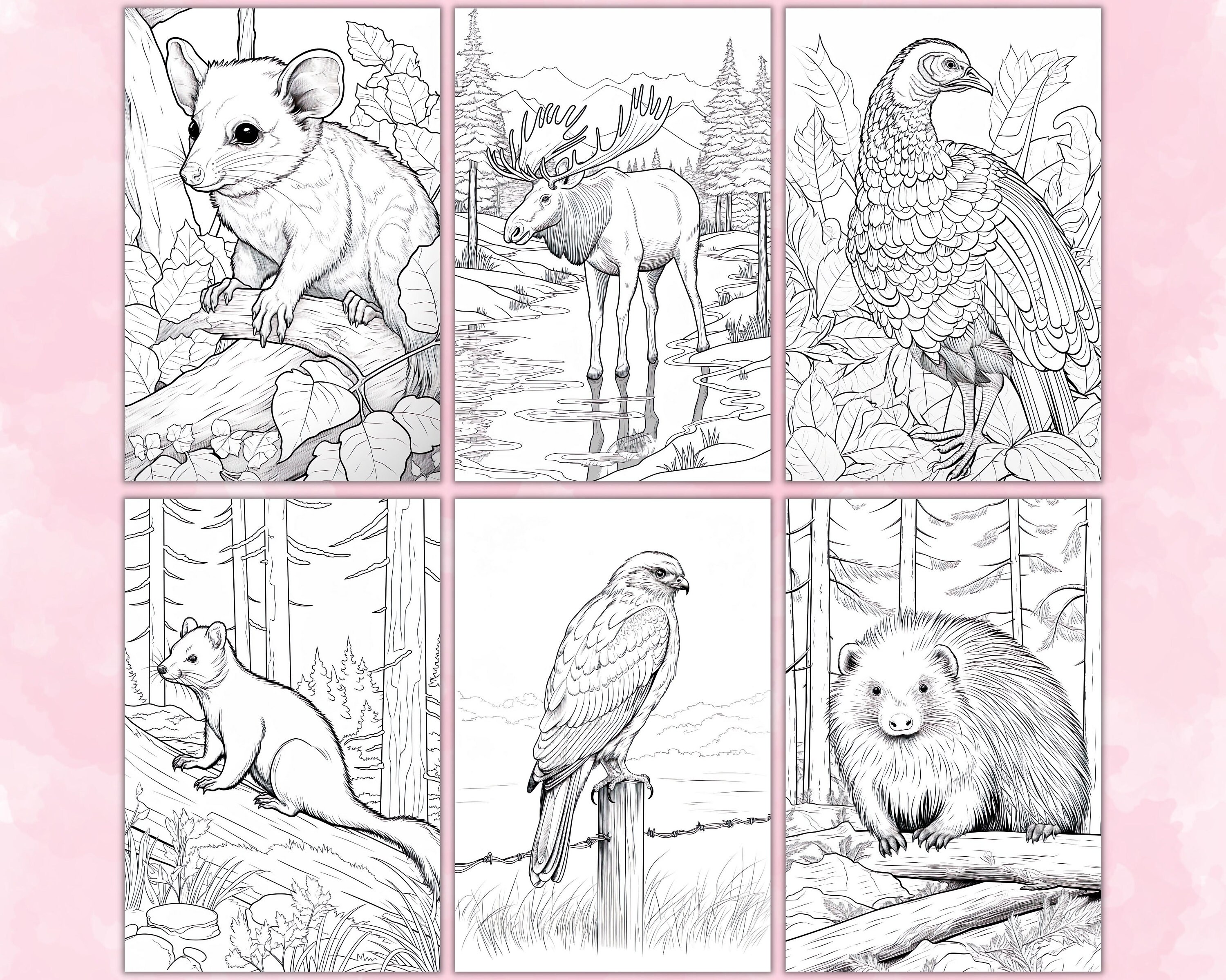 Woodland Animal Coloring Pages, Animal Coloring Book, Grayscale ...