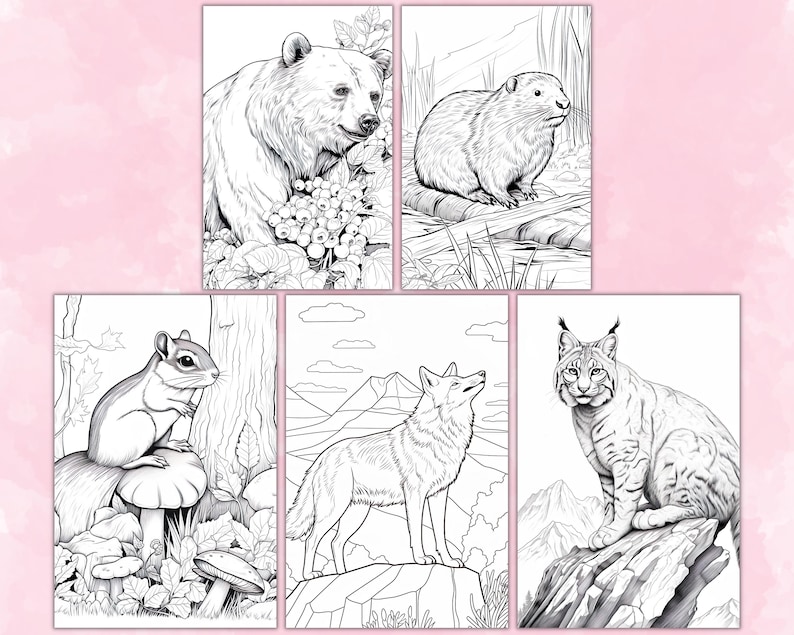Woodland Animal Coloring Pages, Animal Coloring Book, Grayscale ...