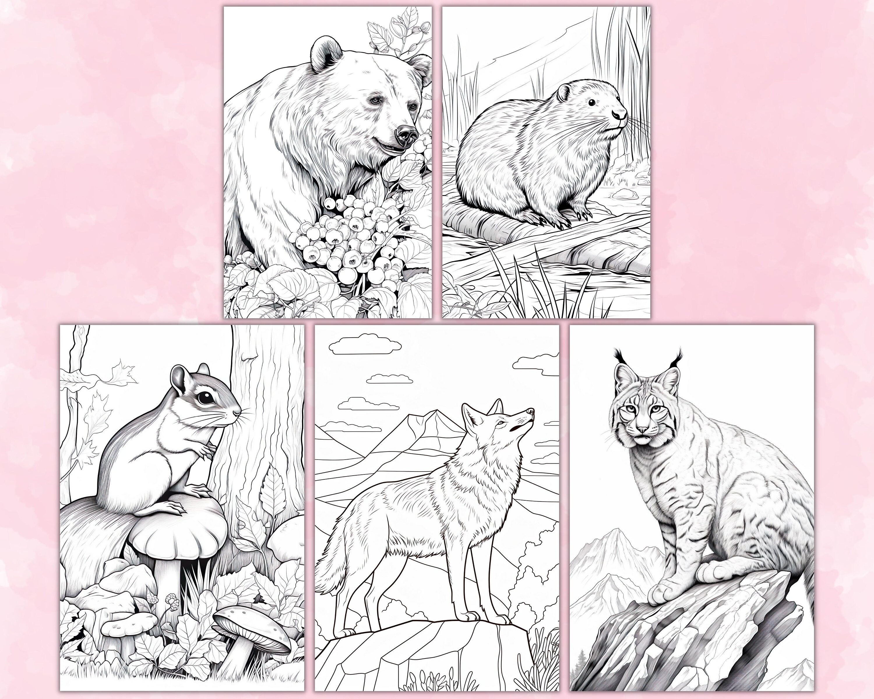 Woodland Animal Coloring Pages, Animal Coloring Book, Grayscale ...