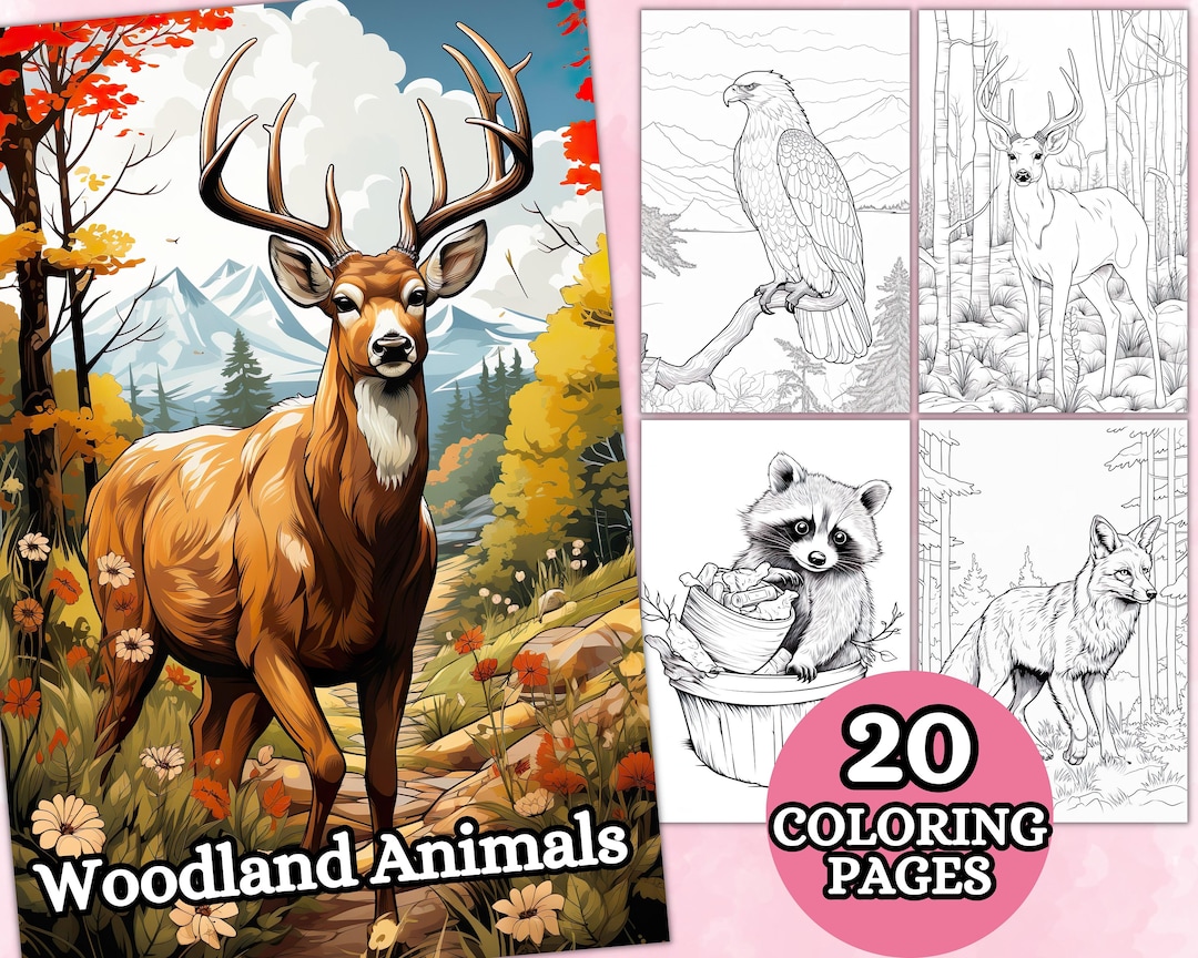 Woodland Animal Coloring Pages, Animal Coloring Book, Grayscale ...