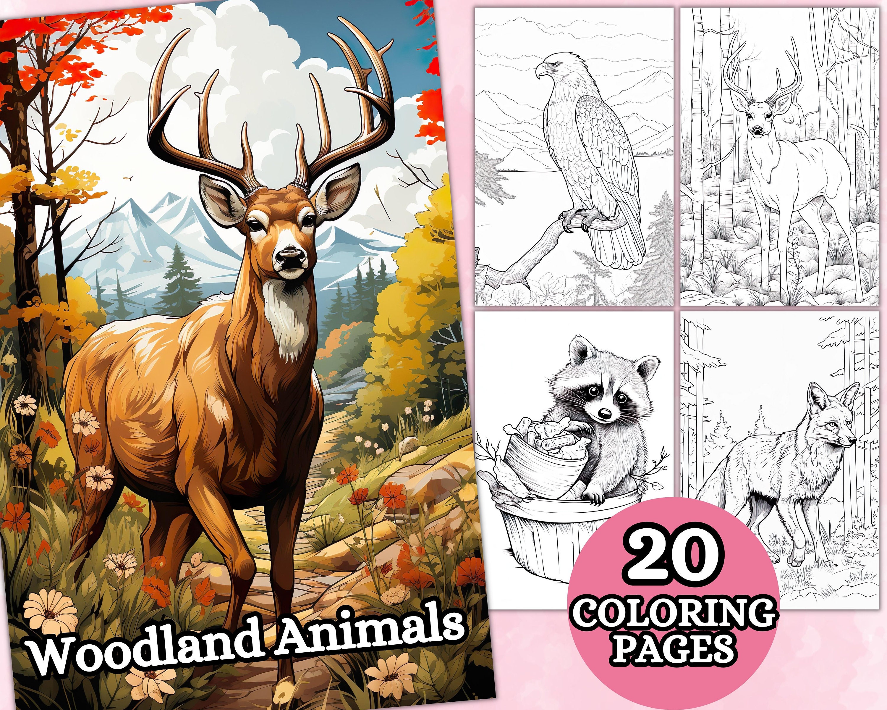 Woodland Animal Coloring Pages, Animal Coloring Book, Grayscale ...