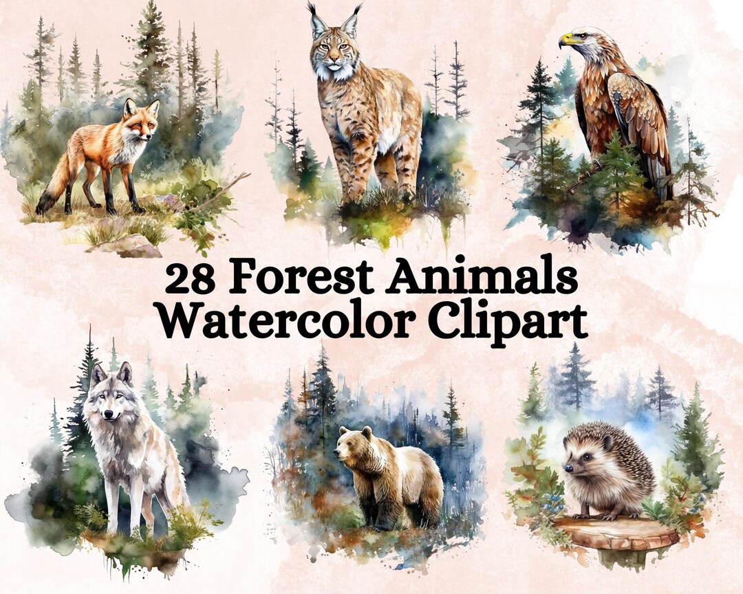Forest Animals Clipart Watercolor, Woodland Animals Clipart for Adults ...