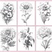 20 Grayscale Flower Coloring Pages, Grayscale Coloring Page, Flower ...