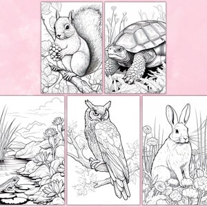Woodland Animal Coloring Pages, Animal Coloring Book, Grayscale ...