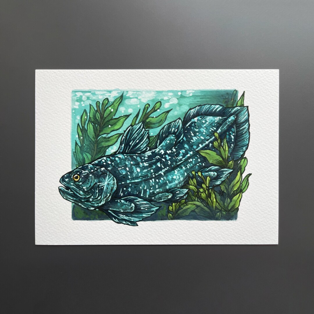 Coelacanth Giclée Art Print Underwater Fish Art Gouache Painting Style ...