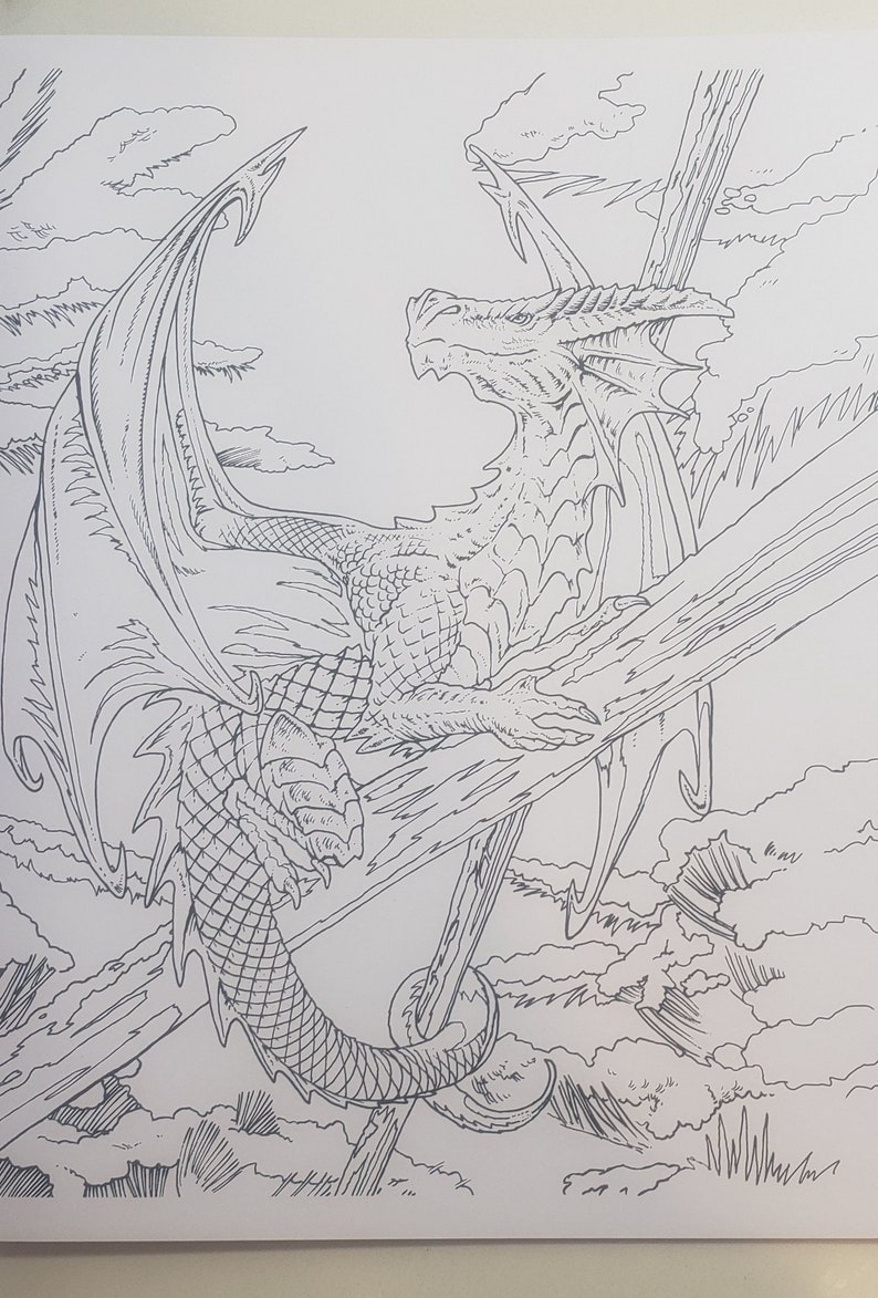 Anne Stokes - Dragon Collection Coloring Book - Etsy