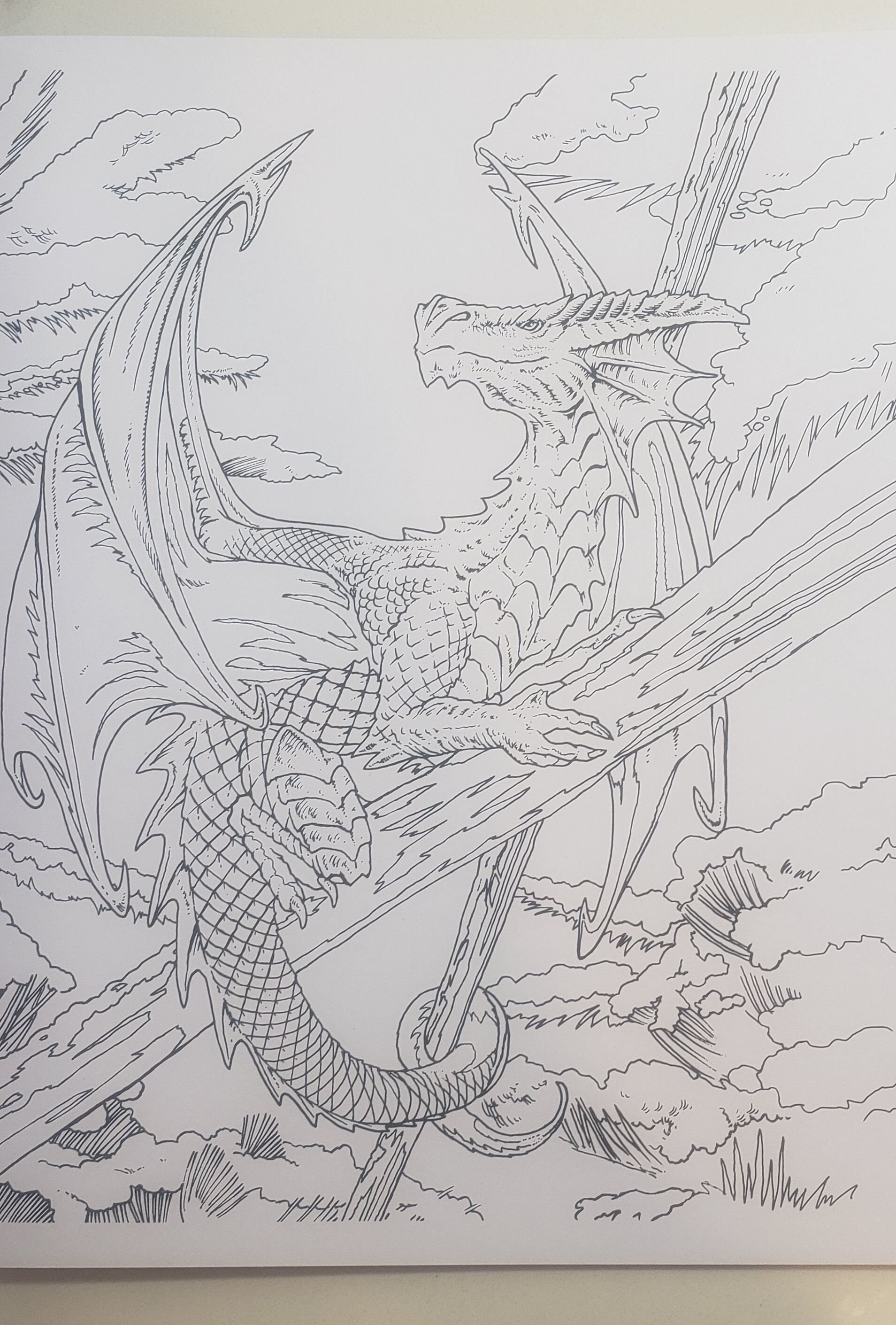 Anne Stokes - Dragon Collection Coloring Book - Etsy