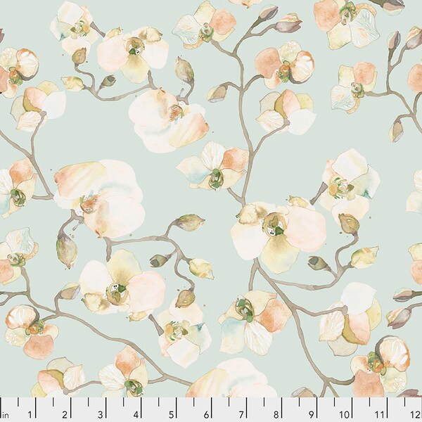 Watercolor Shell - Etsy