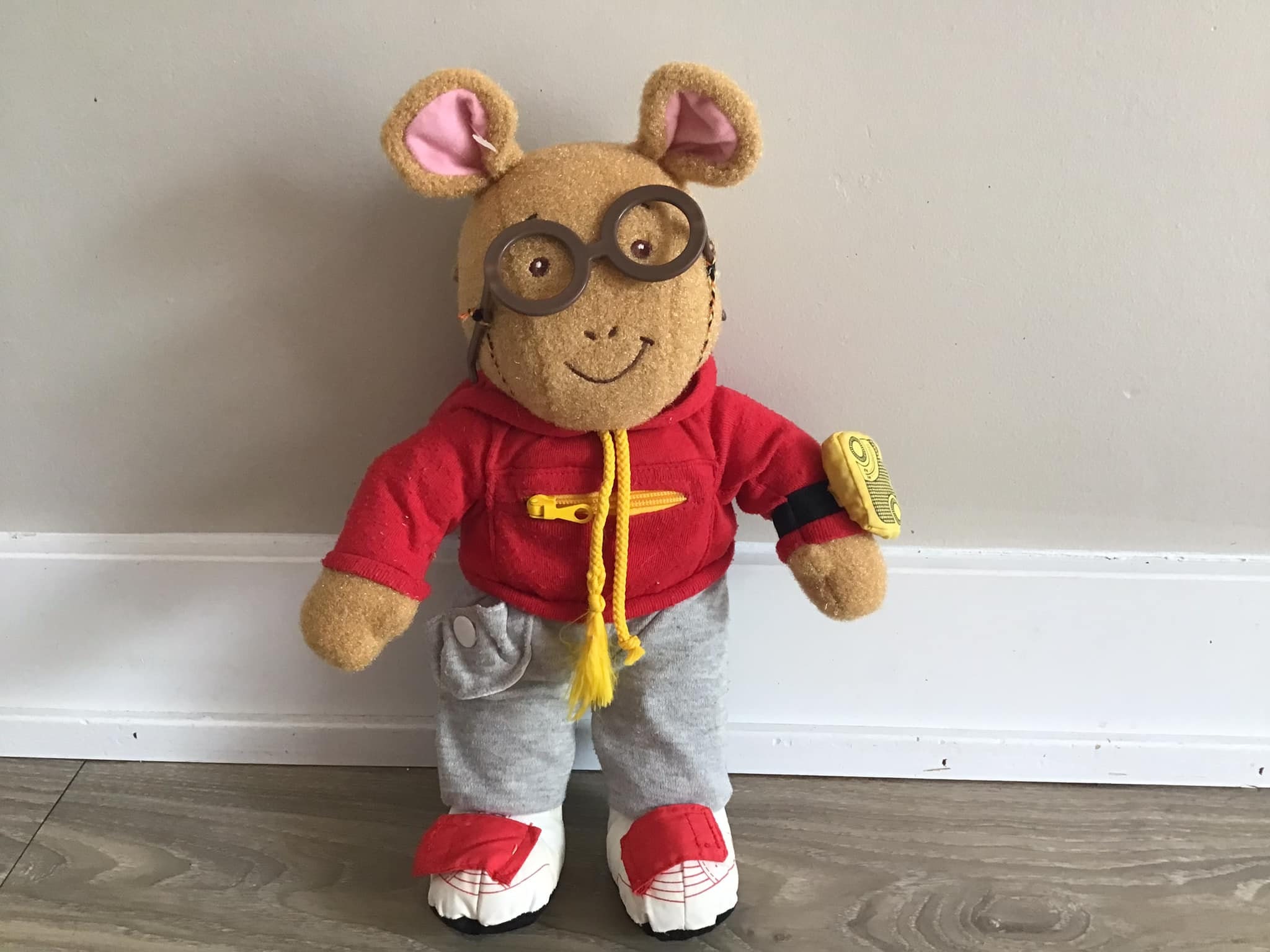Arthur Dw Costume