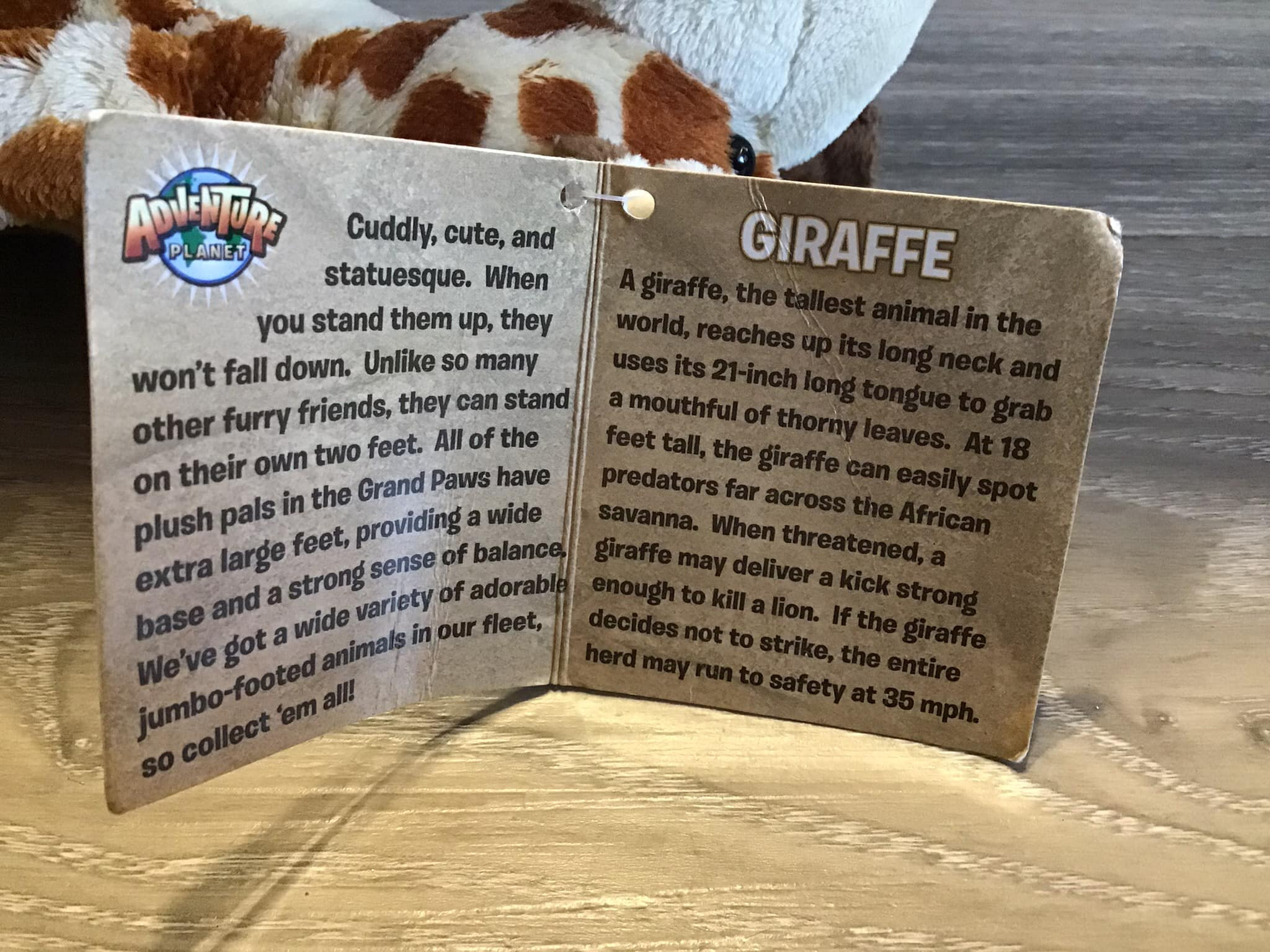 Adventure Planet Plush Grand Paws Giraffe Stuffed Animal Toy | Etsy