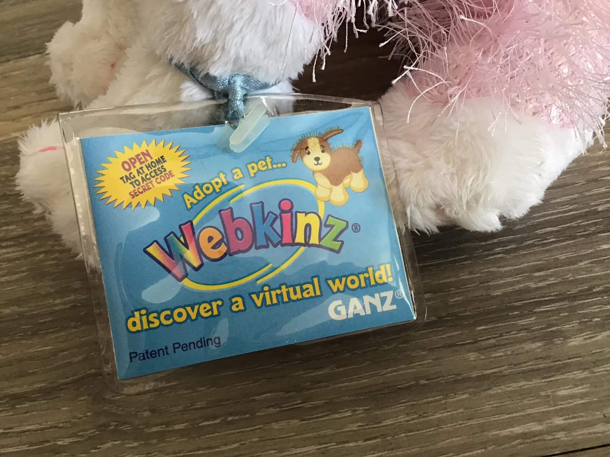 Webkinz Codes That Always Work
