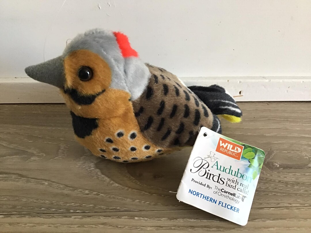 Audubon Birds Northern Flicker Stuffed Animal 5 - Etsy