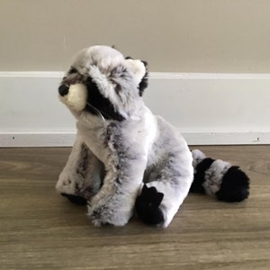 Webkinz racoon store