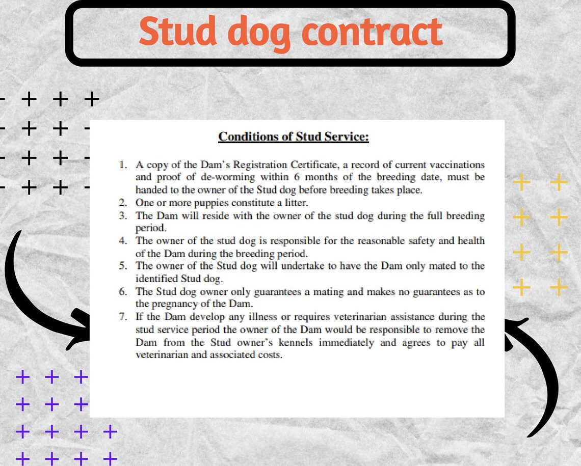 Stud Dog, Stud Dog Contract, Stud Dog Forms, Stud Dog Template, Stud ...