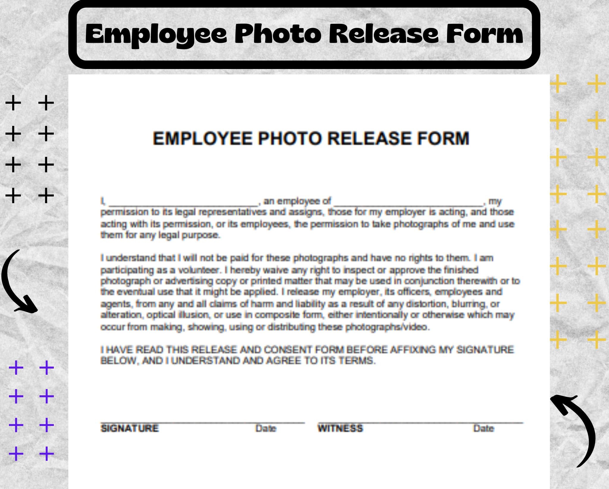 Employee Photo Release - Employee Photo Release Form - Employee Photo ...